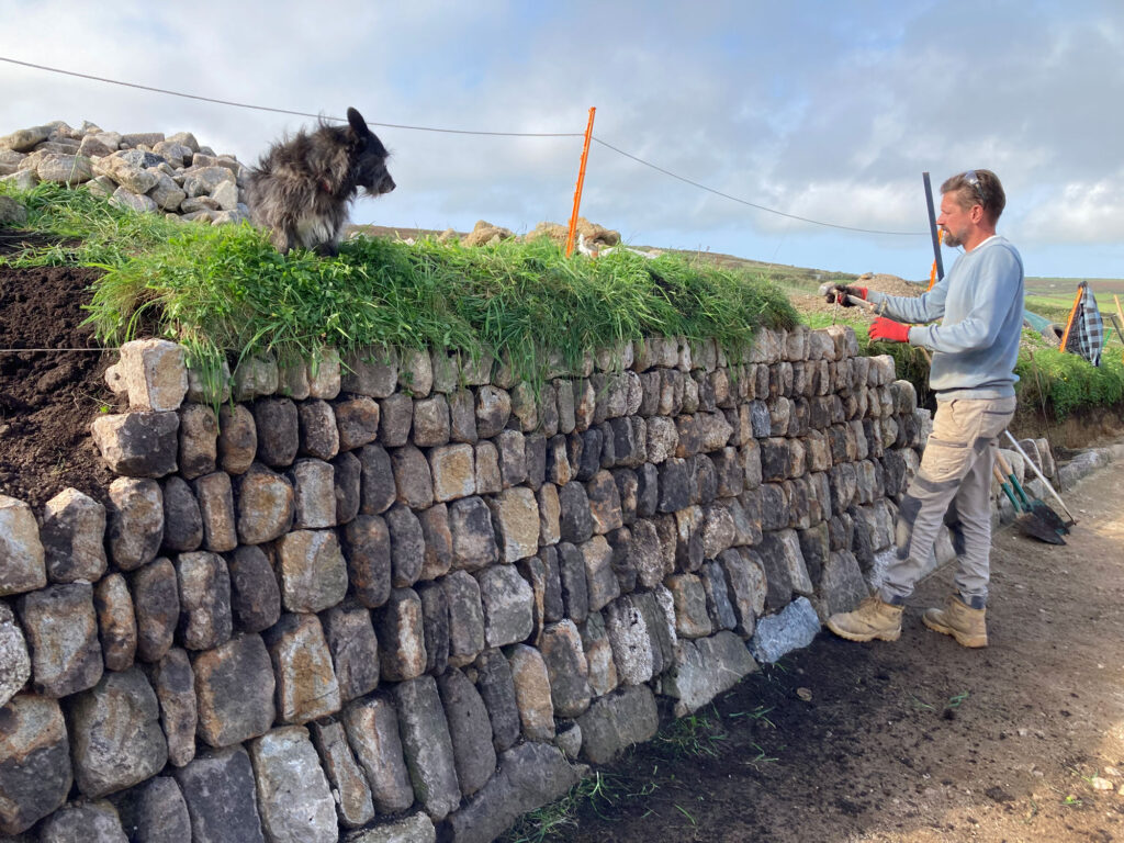 Home - Crest Cornwall