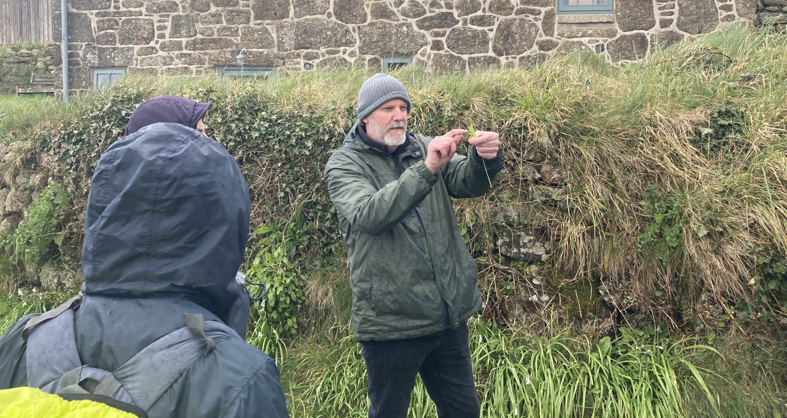 Introduction to the Botany of the Cornish hedge with Budding Nature ...